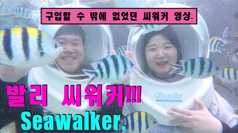 발리 신혼여행 씨워커 영상 YouTube