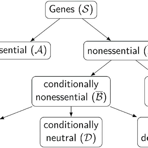 Gene Categorization In Transposon Insertion Sequencing Tn Seq Our Download Scientific