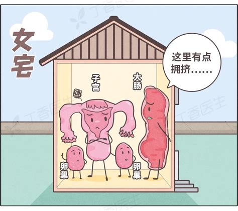 烦！为什么女生拉屎那么难啊啊啊 丁香医生