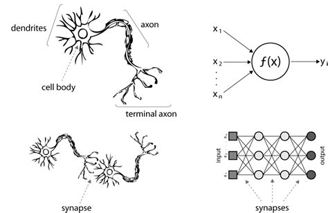 forest fire prediction with artificial neural network part 1 by