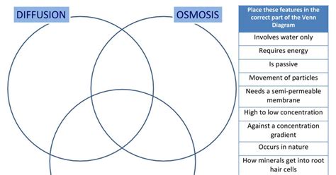 Understanding The Similarities And Differences Between Osmosis And Diffusion