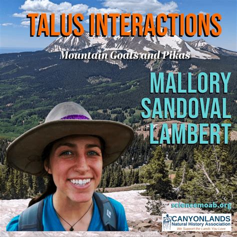 Talus Interactions Kzmu Community Radio