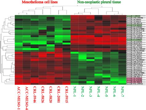 supervised hierarchical clustering of differentially expressed mirnas