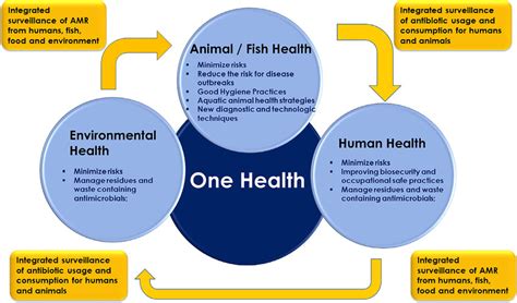 Conceptual Framework Proposed For A One Health Approach To Download Scientific Diagram