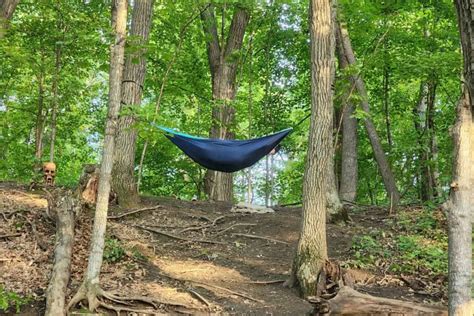 How To Hang A Hammock From A Tree Untamed Space