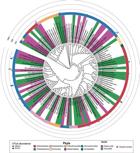 Composition Of The Endophyte Microbiome Phylogenetic Tree Of The 122