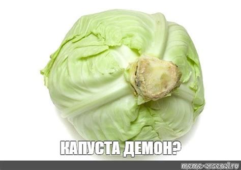 Create Meme Cabbage Cabbage Pictures Meme