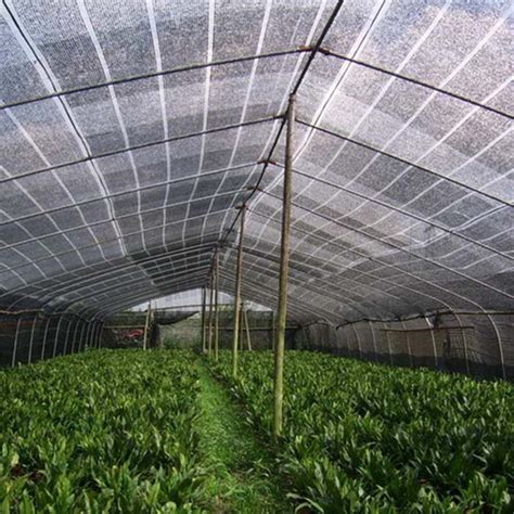 Roles Of Agricultural Polyethylene Shade Netting Direct Shade Nets Factory