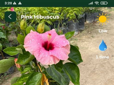 An E Commerce Android App With A Payment Gateway And Everything Needed
