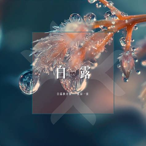 岐也紅茶 白露將至，涼爽的秋意漸濃 是時候來杯暖心的飲品了！ 助你在白露時節滋潤身心。 Facebook