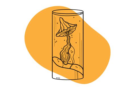 A Trip To The Bedroom The Impact Of Psychedelic Shrooms On Sex Tripsitter