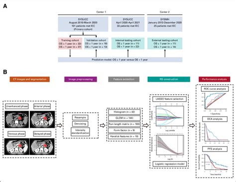 A Flowchart Of Study Population And B The Study Workflow Ct