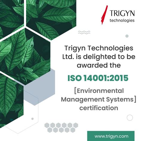 Trigyn Technologies On Linkedin Growth2021 Trigyn Iso14001 12
