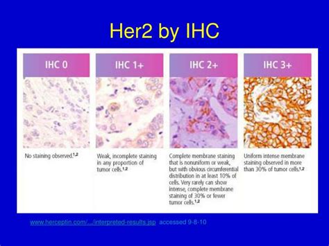 Ppt Tumor Biomarkers Powerpoint Presentation Id1274352