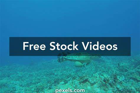 Romanticffmvideo Videos Download The Best Free 4k Stock Video