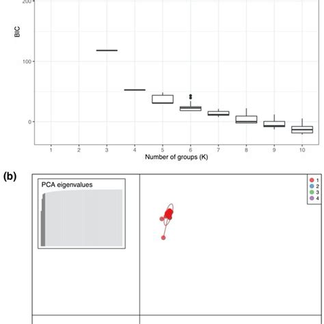 Discriminant Analysis Of Principal Components Dapc Conducted With A