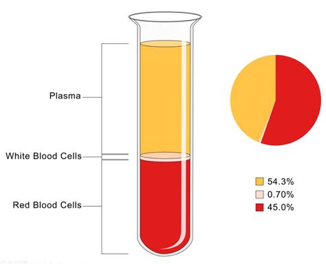 血浆血清分不清楚，一文帮你读懂 知乎