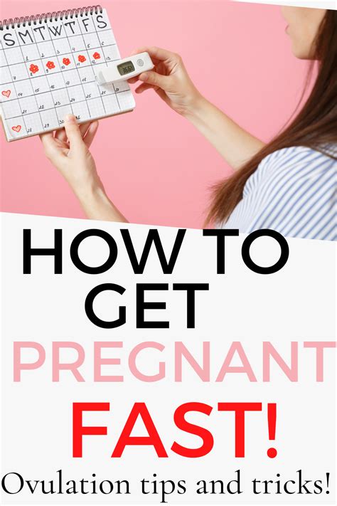 Everything You Need To Know About Ovulation So You Can Get Pregnant
