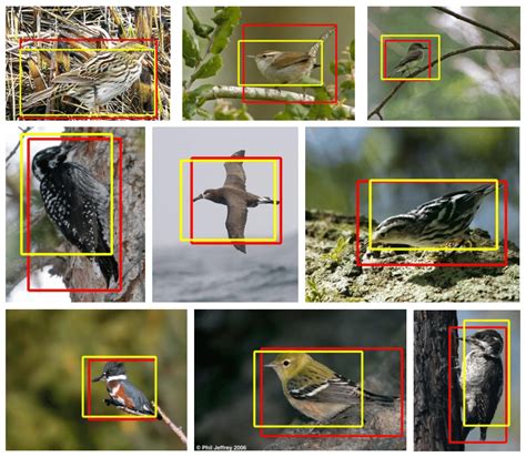 Examples Of Object Localization Results In This Paper The Red