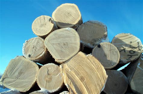Hardwood Logs Tumac Inc Global Sourcing And Distribution