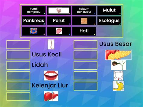 Drag And Drop Match Up