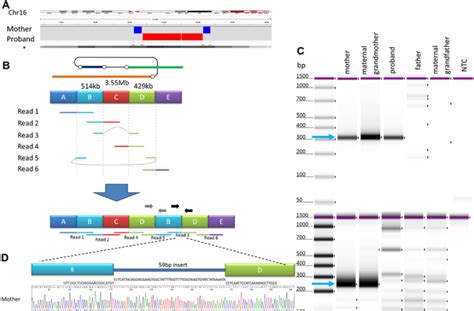 Home Page For Genetic Diagnosis And Research