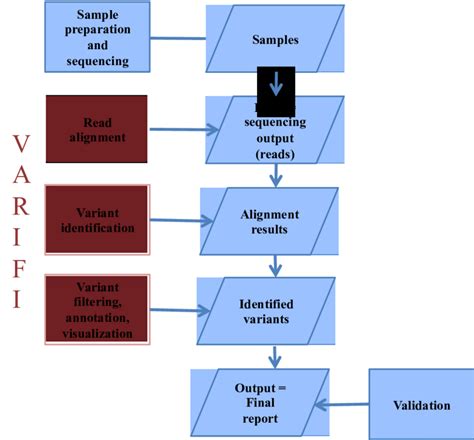 Complete Variant Analysis Workflow From The Sample Preparation To The