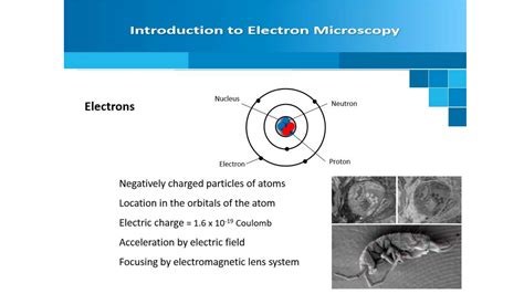 Scanning Electron Microscope Introduction Ppt