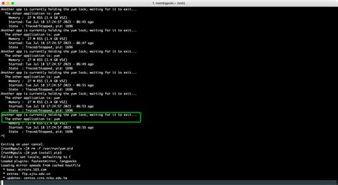 环境搭建 Centos7系统基于tensorflow Benchmarks测试gpugpu测试 Csdn博客