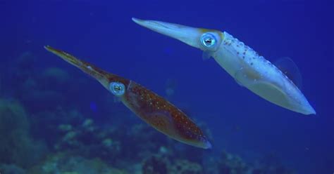 Johannes Kiunke Rosch On Linkedin Cybersecurity 5gsecurity Telecomsecurity