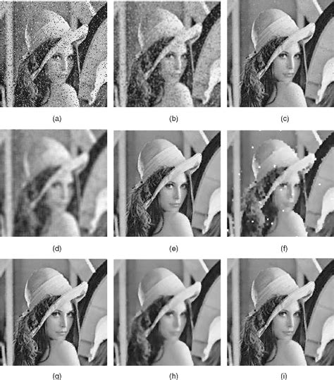 Figure 1 From Theoretical Foundations Of Spatially Variant Mathematical Morphology Part Ii Gray