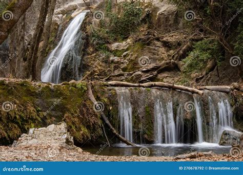 Cascading Waterfall Among The Branches Of Trees Stock Photo Image Of Nature Forest