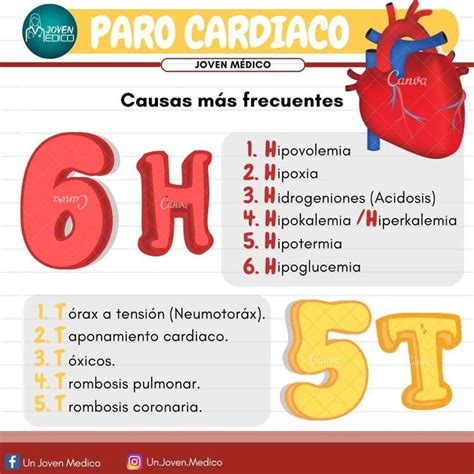 Pin De Hilda Gomez En Medicina EspaÑol Clases De Enfermeria Oposiciones Auxiliar De