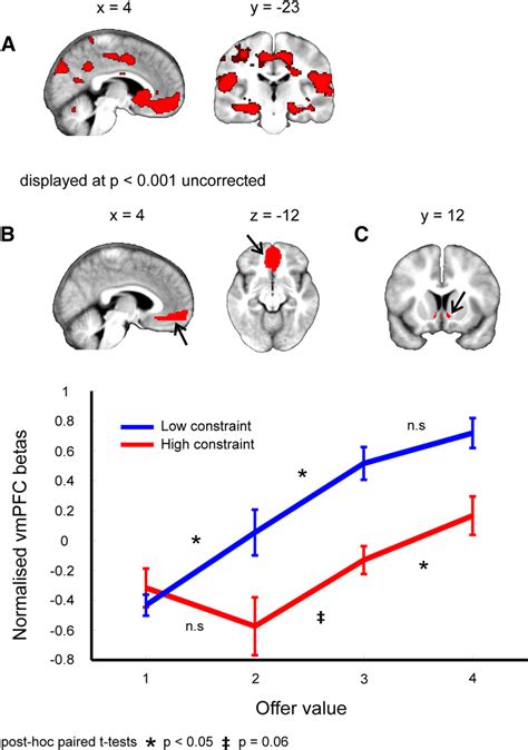 Value Representations Modulated By Context A The Bold Signal In Download Scientific Diagram