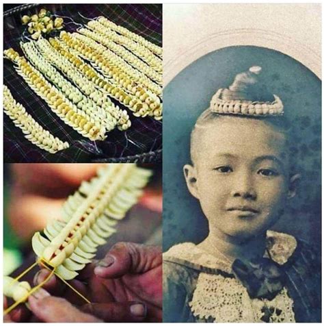 ផ្ការំដួល Flowers Fragrant Flowers Cambodia