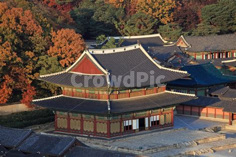 창덕궁 인정전 궁 궁궐 고궁 사진 이미지 일러스트 캘리그라피 프리이미지작가