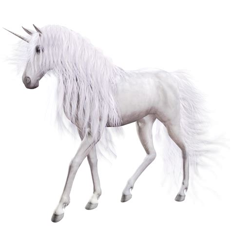 Unicorn Png