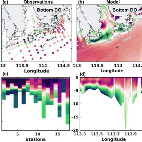 A Observed And B Simulated Bottom Dissolved Oxygen Do Mg L −1 Download Scientific