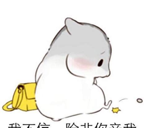 一波可爱小鼠表情包萌翻你的表情赶紧秀出来吧 小鼠 表情包 可爱 新浪新闻