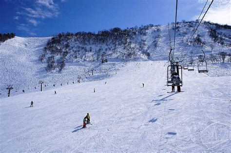 白山セイモアスキー場公式白山市観光旅行情報サイトうらら白山人