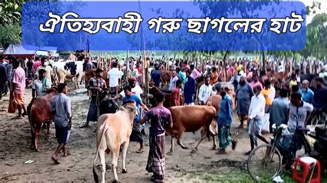 ঐতিহ্যবাহী গরু ছাগলের হাট Youtube