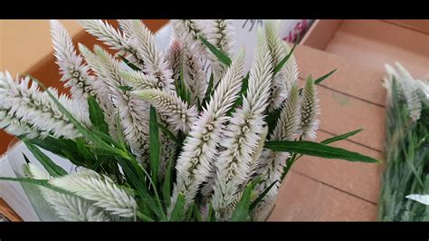 촛불맨드라미 꽃사입 생화택배 꽃집 절화 플라워리스 온라인꽃도매 리스만들기 인터넷꽃도매 꽃싸게사는법 꽃꽂이 꽃택배 꽃도매 드라이플라워 Youtube