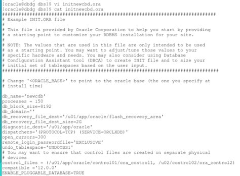 Ora 65093 Multitenant Container Database Not Set Up Properly Bruno