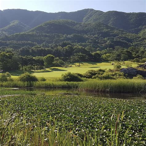 마이다스밸리 청평 Gc 골프장 방문후기 Chung Pyung Midas Golf Club