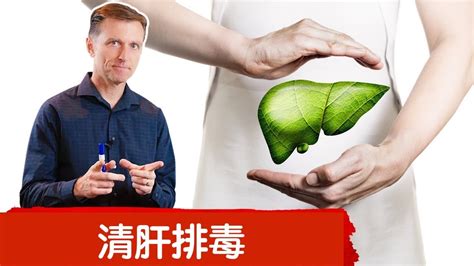 做清肝排毒有幫助肝硬化和脂肪肝？自然療法柏格醫生 Dr Berg Youtube
