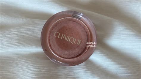 크리니크 치크팝 누드팝 웜톤 블러셔 쿨톤이 써본 후기 네이버 블로그