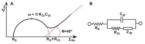 The Nyquist Plot A And The Corresponding Randles Circuit B Download Scientific Diagram