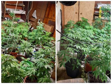 Криминалисти от Четвърто РУ Бургас с голям удар