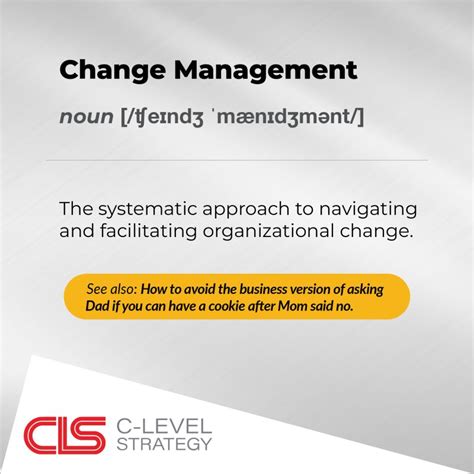 Streamline Your Business Free Consultation C Level Strategy C