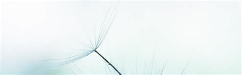 Eu Hta Regulation Jca In Practice From Procedure To Evidence Generation Ssi Strategy